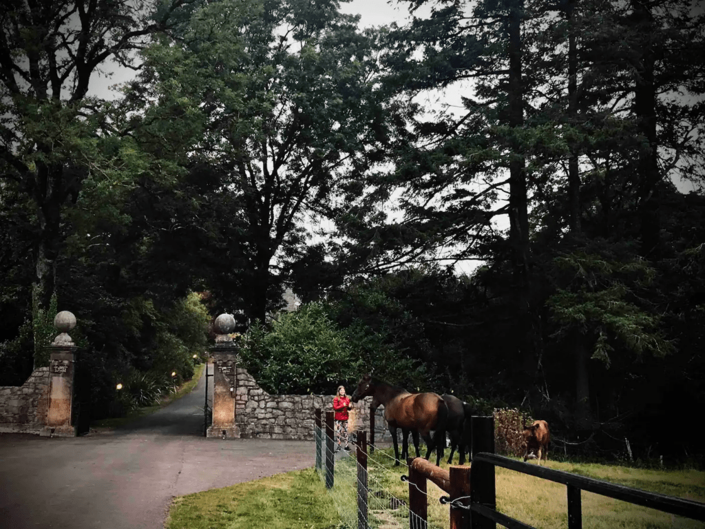 Ballea Castle – Beautiful luxurious Castle in Cork